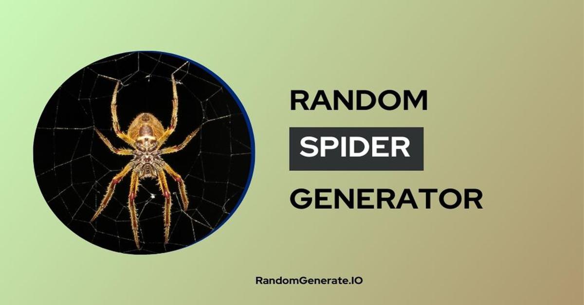 Random Spider Generator